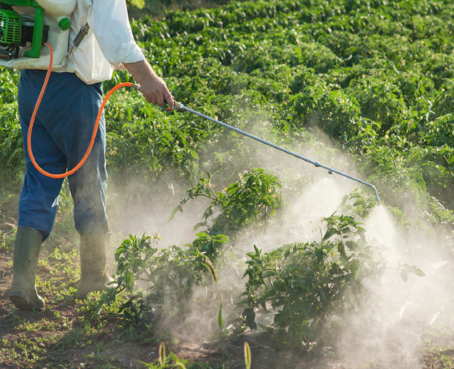 หน้ากากนิรภัย PC รุ่น YMD-514 YAMADA - STintertrade